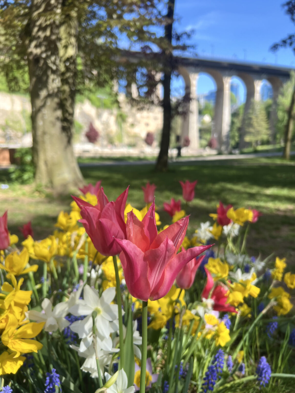 LUGA 2025 : exposition de jardins urbains aux Luxembourg - Timodelle ...